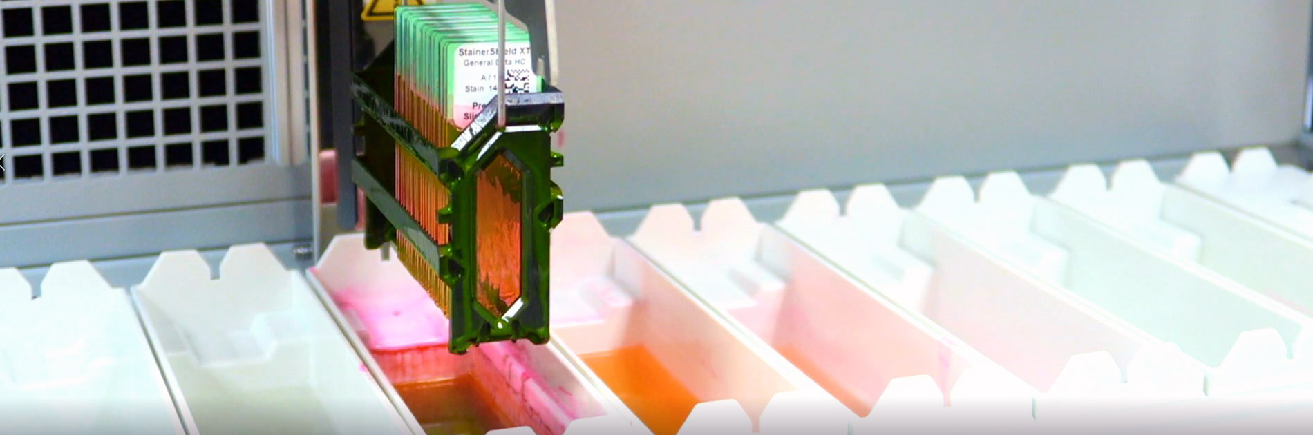 Histology Slide Staining | General Data Company, Inc.