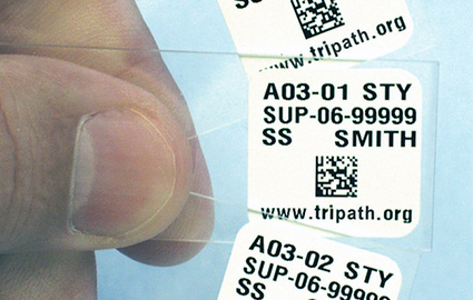 We Put StainerShield XT Slide Labels To The Test – See How They ...